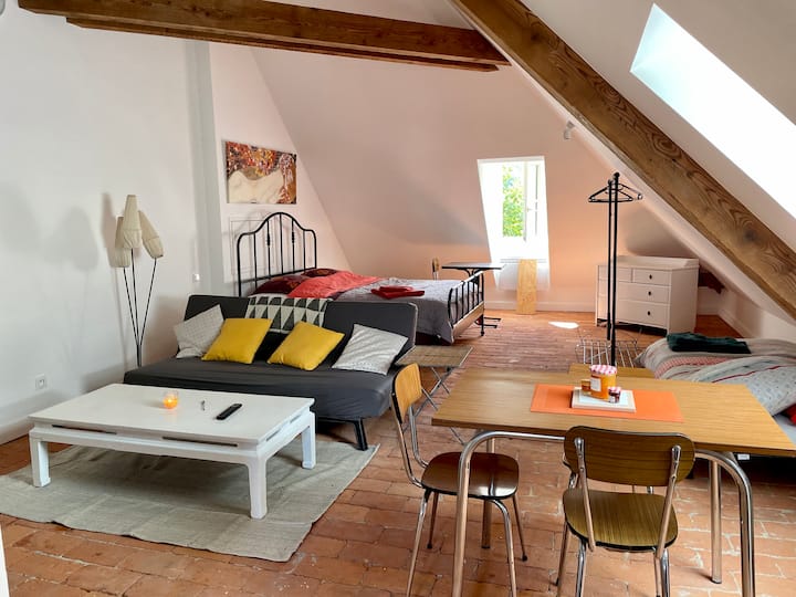 Studio Hyper-centre Très Lumineux Allevard - Allevard