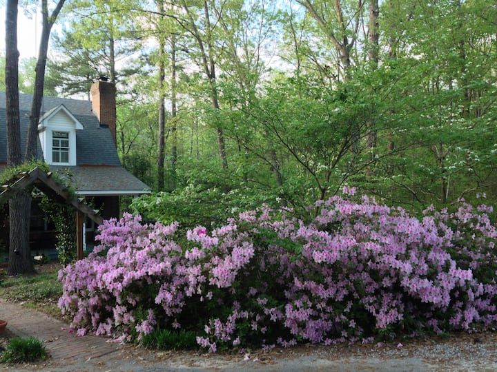 Hitchcock Hideaway-walk To The Woods! - Aiken, SC