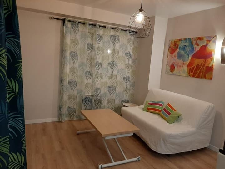 Appartement Toulouse Centre. Studio  2 Personnes