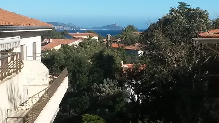 T1 Rez De Jardin Avec Grande Terrasse – St Aygulf - Saint-Aygulf