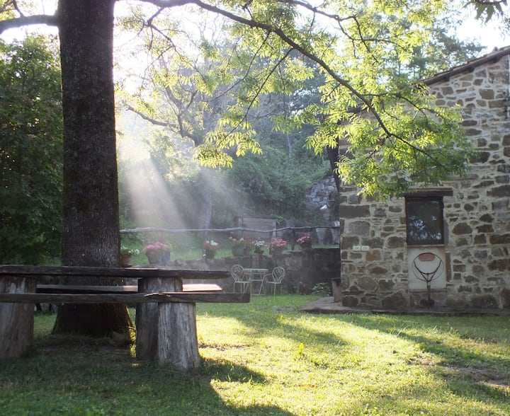 Luca's Farmhouse Fonte Apartment - Abbadia San Salvatore