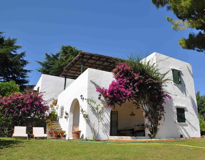Piccolo Appartamento Cucina E Servizi In Villa - Sabaudia