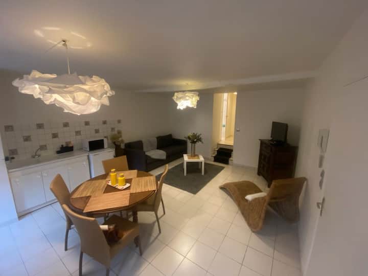 Appartement - La Petite Déesse - Sedan