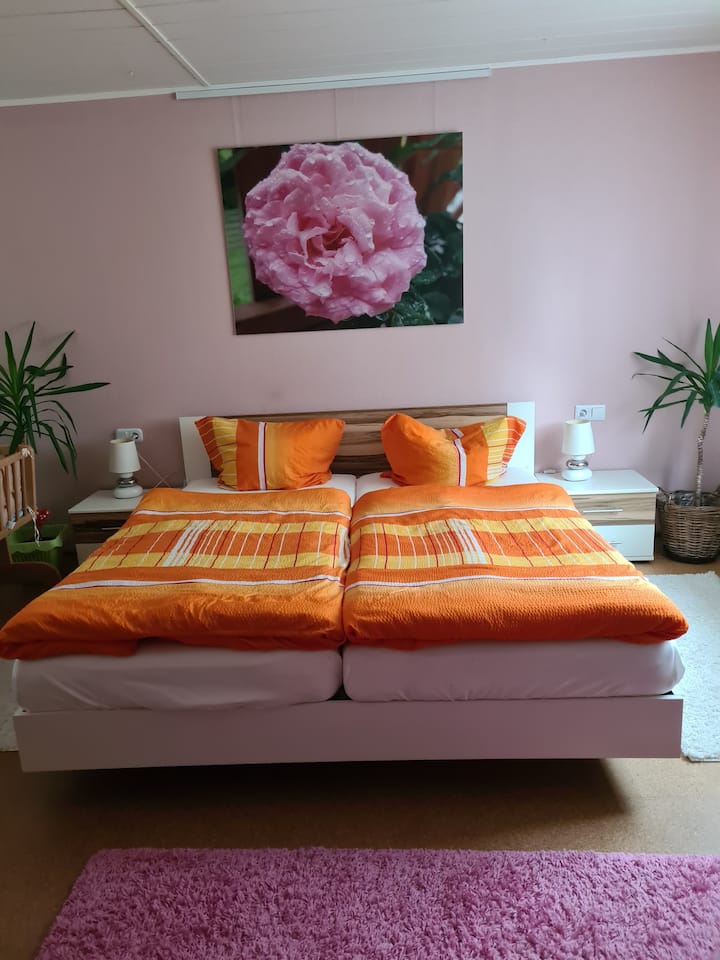 Schöne Ferienwohnung - Altensteig