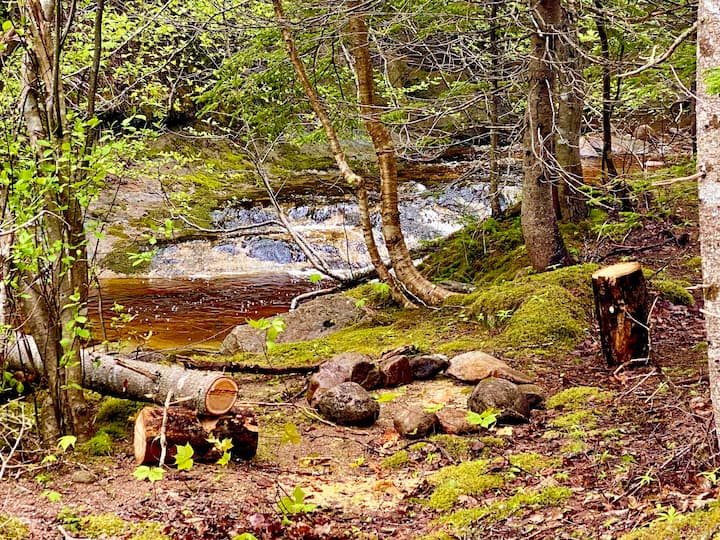 The Perch And River Race - Walk-in Campsite 6 - Cape Breton Island