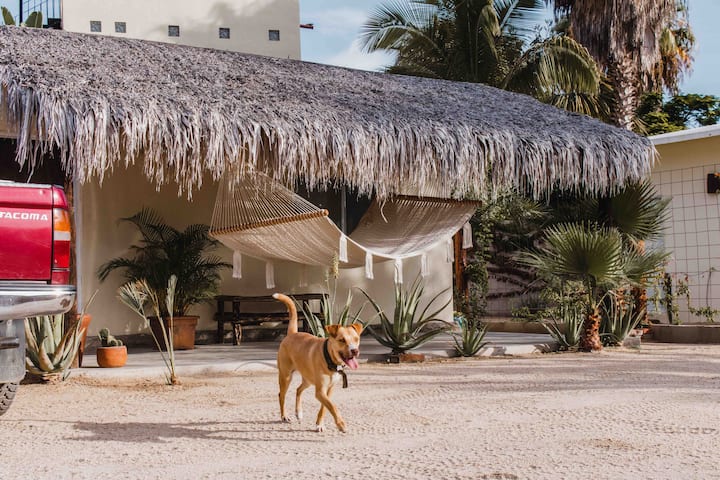 Estudio Todos Santos Mx Las Tunas - Todos Santos