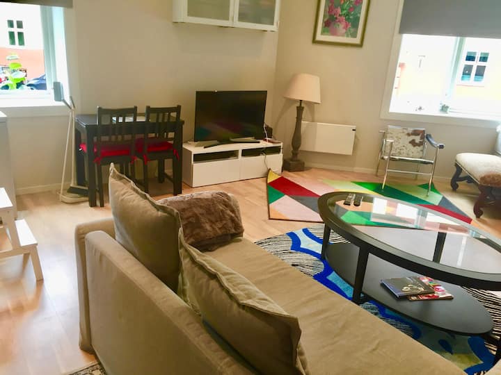 Studio Apartment In An Amusing  Part Of Town. - Oslo