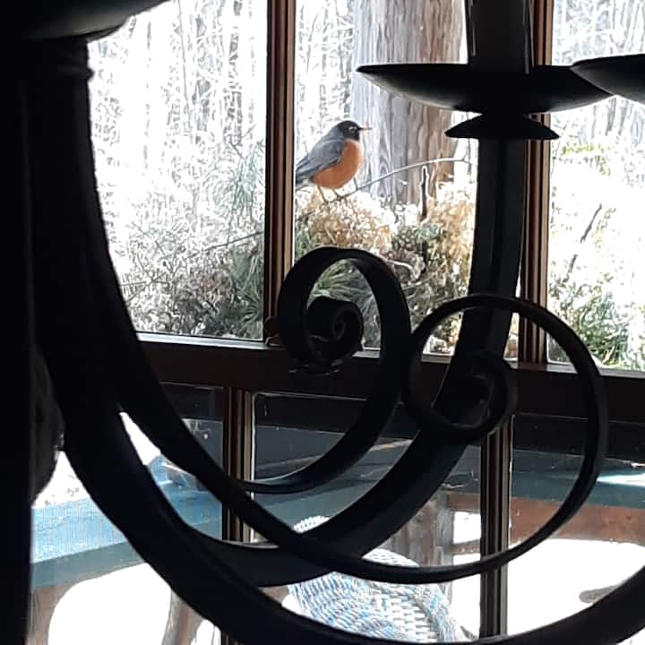 Deer Valley Retreat, Lovely Log Cabin - New Hampshire (State)