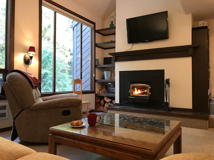 Vintage Cozy Family-friendly Mountain Condo - Glacier, WA