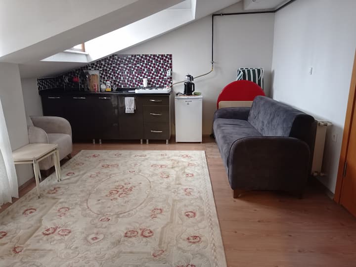 Bayrampaşa Bölgesinde Güzel Ferah ÇAtı Katı Daire - Istanbul