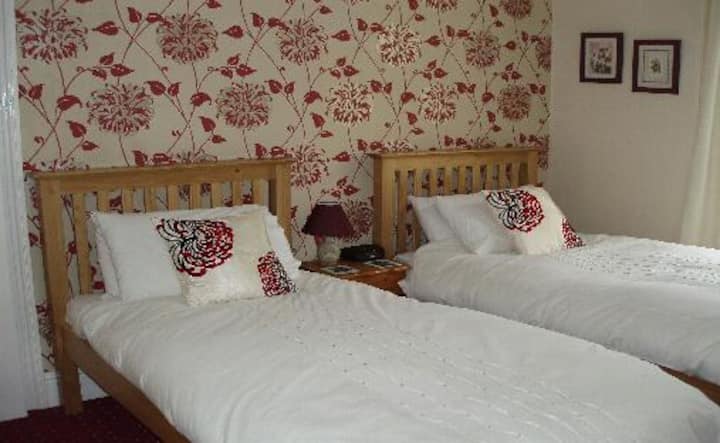 Twin En-suite Room In Victorian Villa - Fishguard