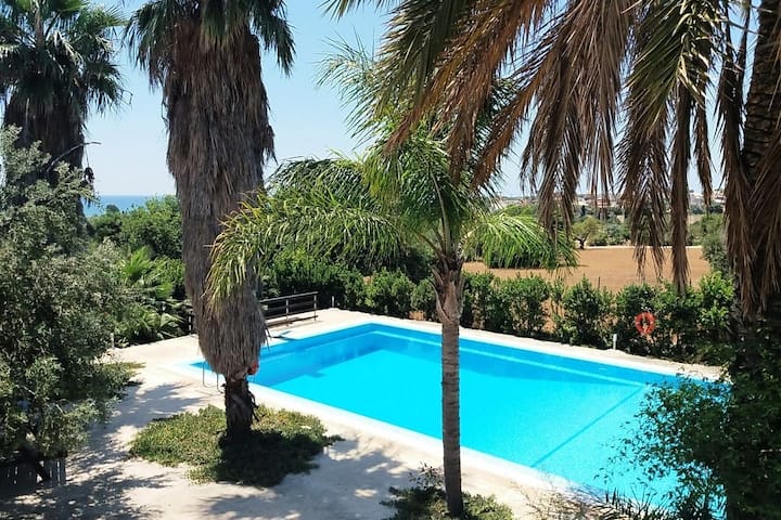 The Garden Of Olive Trees - Pozzallo