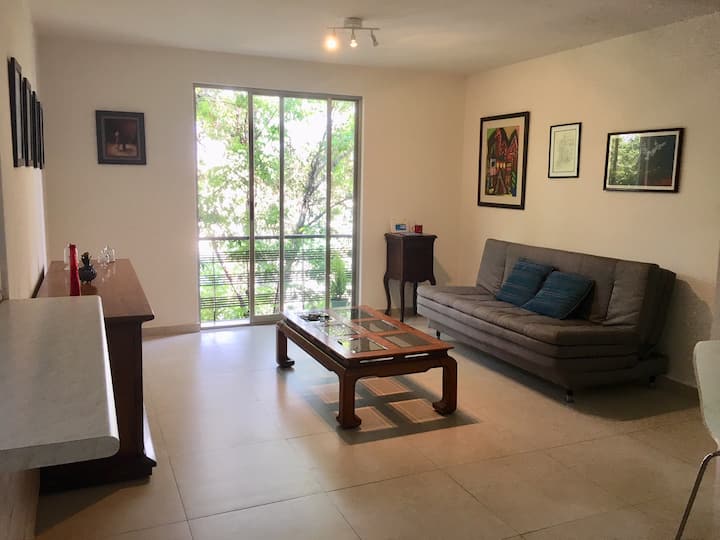 Departamento Nuevo, Iluminado, Cerca De Coyoacán - Ciudad de México