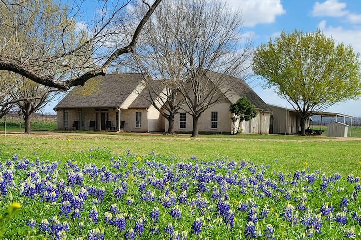 The Vineyard Vista-wildflowers, Fire Pit, Tx Parks - Kingsland, TX