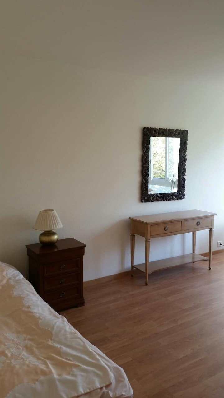 Nice Studio In Geneva- Near Un - Geneva