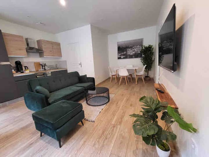 Magnifique Et Confortable Appart - Saint-Étienne