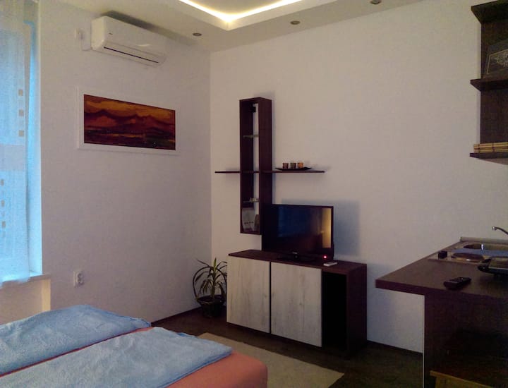 Cozy Apartment In The City Center - Belgrado