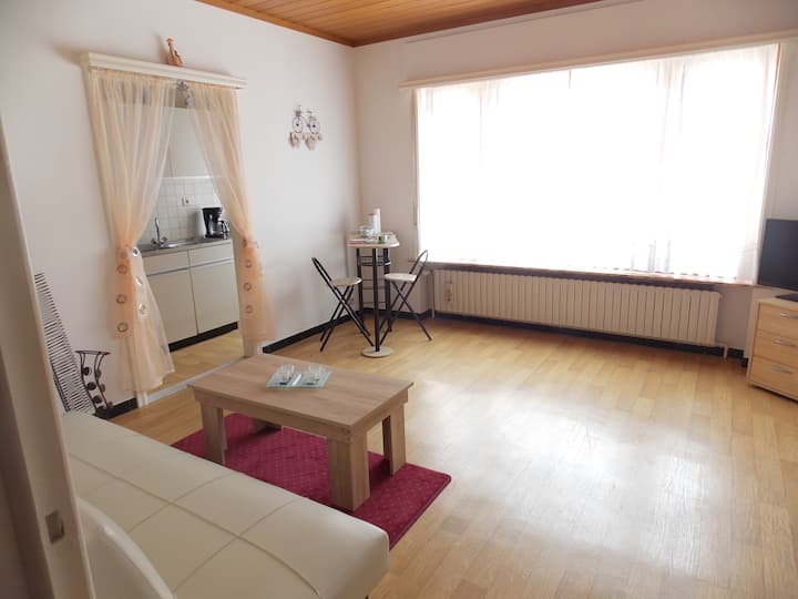 Appartement à 500m Du Centre. A Proximité De Lille - Mouscron
