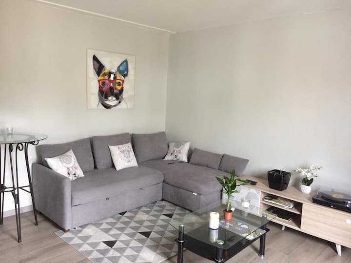 Appartement Agréable Entre Landes Et Pays Basque - Anglet