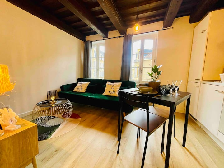 Appartement Metz-centre Cathédrale - Metz