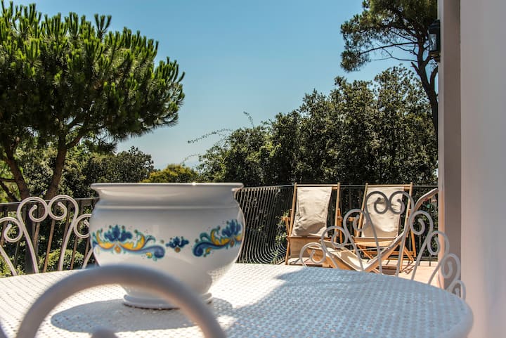 Glicine 21, Ischia In Pineta Con  Discesa Al Mare - Ischia