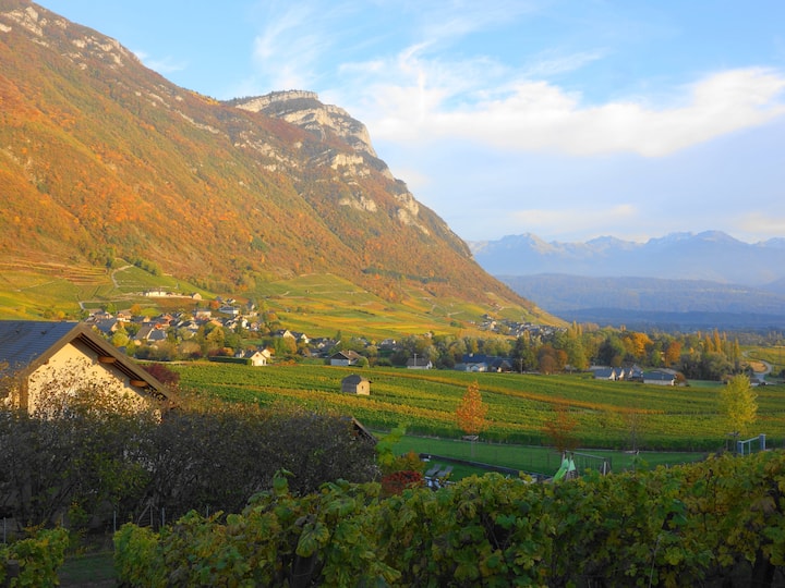Chambre Proche Chambéry Dans Le Massif Des Bauges - Challes-les-Eaux