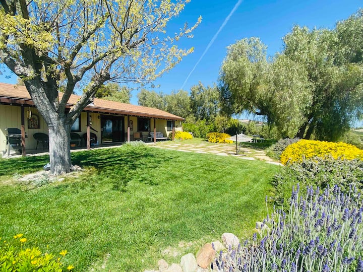 Westside Hilltop Hideaway - Paso Robles, CA