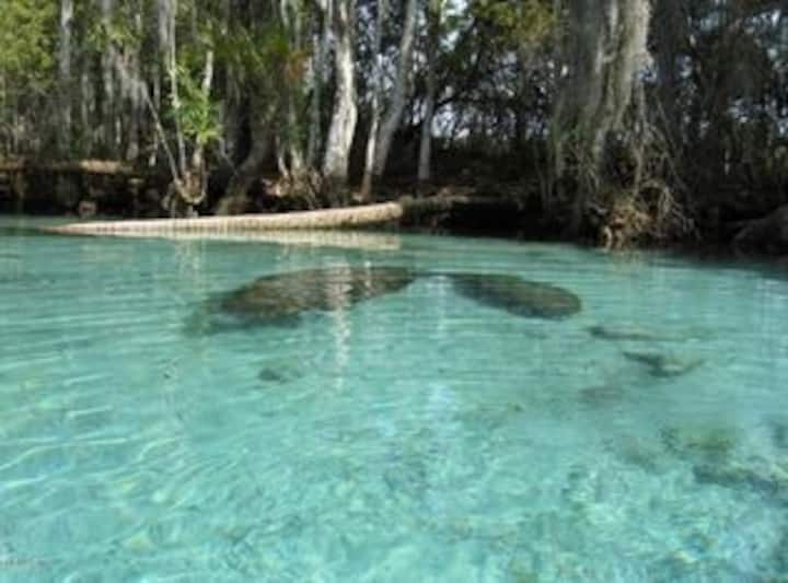 Crystal River Best Location - Crystal River, FL