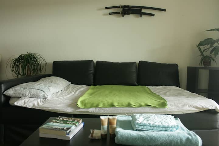 Cosy Sofa-bed At The Un Doorstep - Geneva