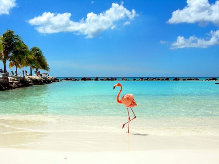 Deluxe 2 Room Suite For 6 Persons With Garden&pool - Aruba