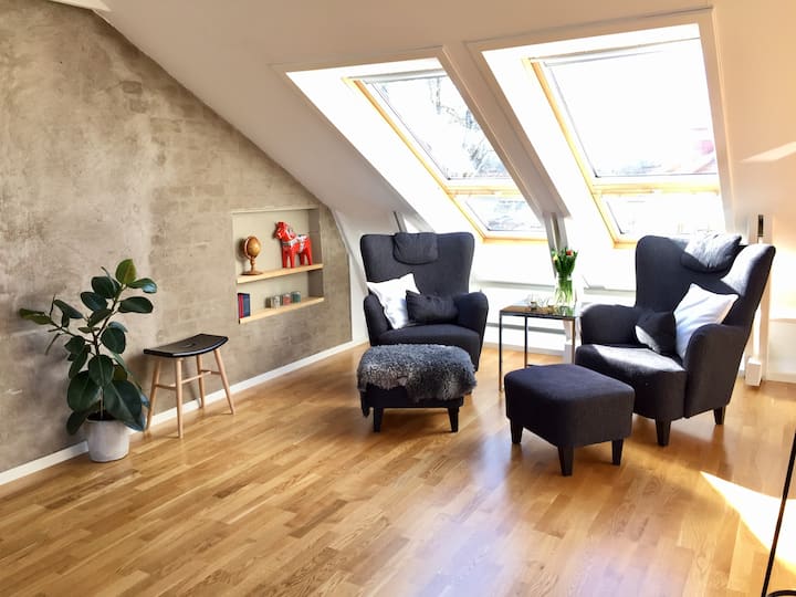 Fantastic Penthouse Overlooking The Castle - Uppsala