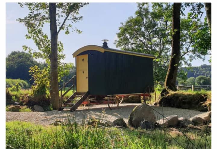 Shepherds Cwtch - Shepherds Hut At Wenallt Farm - Pembrokeshire