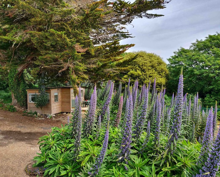The Potting Shed At Ventnor Botanic Garden - Isle of Wight