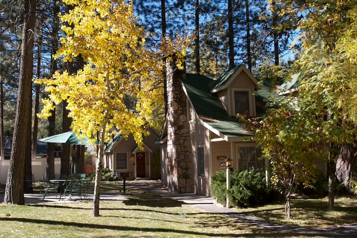 Sleepy Forest S12- Family Cabin - Big Bear, CA