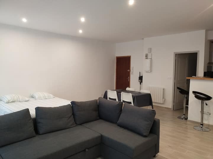 Grand Studio De 46 M2 En Plein Coeur De Marseille - Parc et palais Longchamp - Marseille