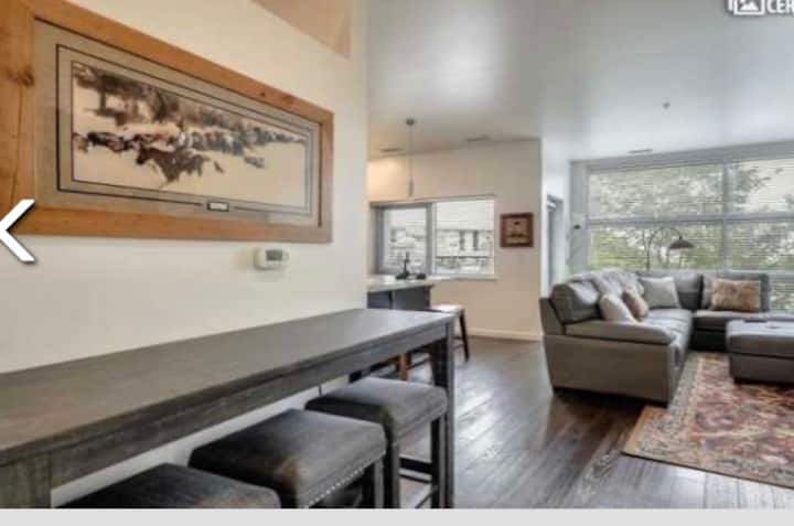 Spacious One Bedroom, One Bath Executive  Loft - Denver, CO