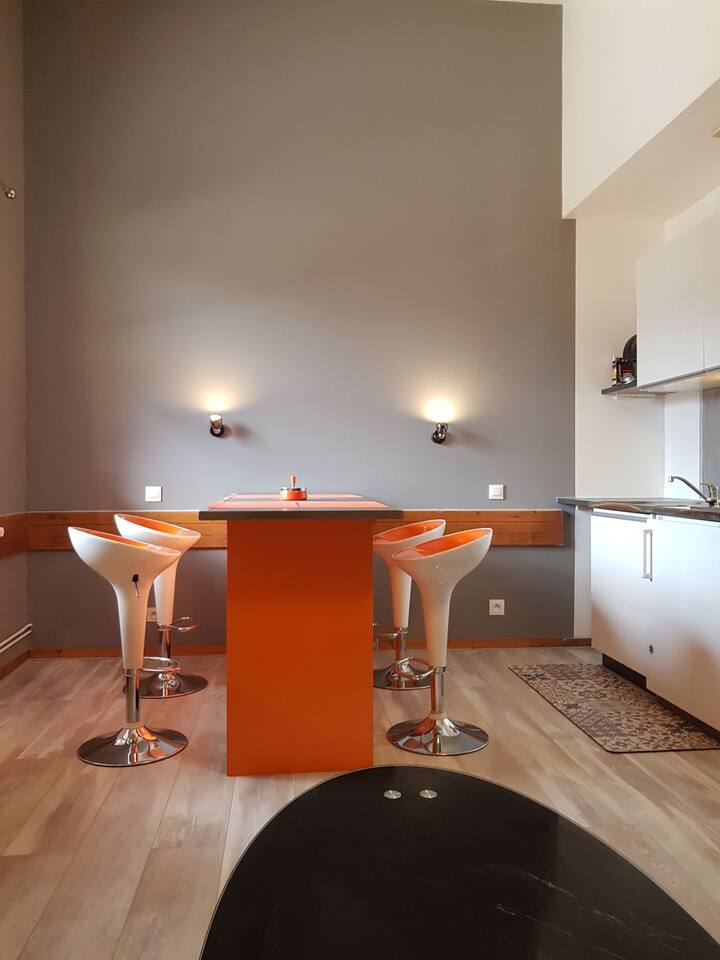 Appartement Cosy Et Chaleureux Au Coeur Du Revard. - Aix-les-Bains