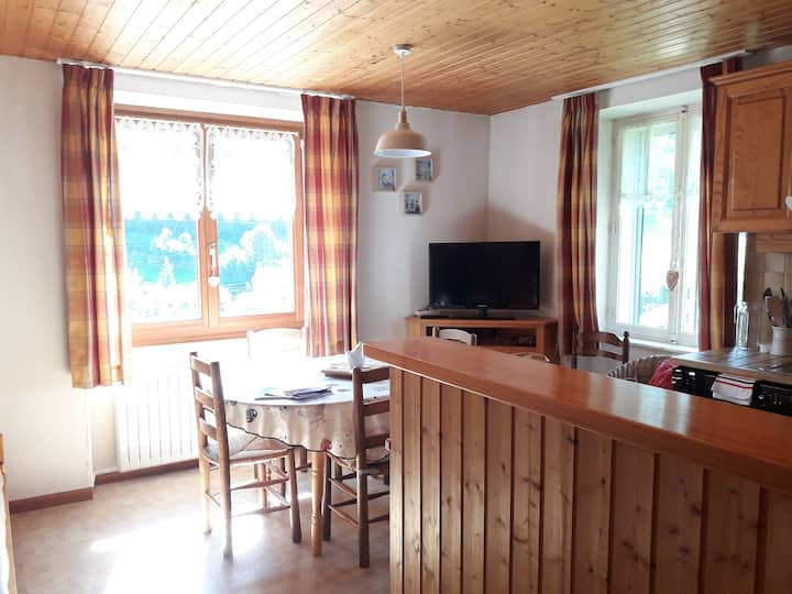 Appartement Lumineux Avec Jardin - Vogesen