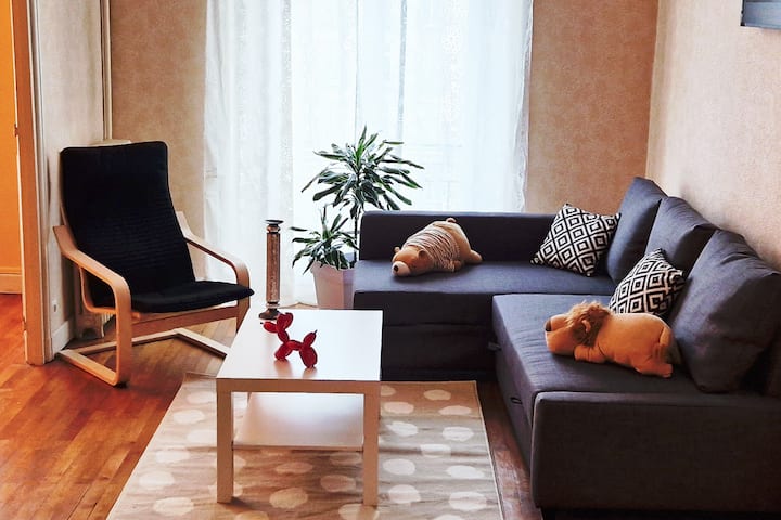 Duplex Royale En Hyper Centre - Nantes
