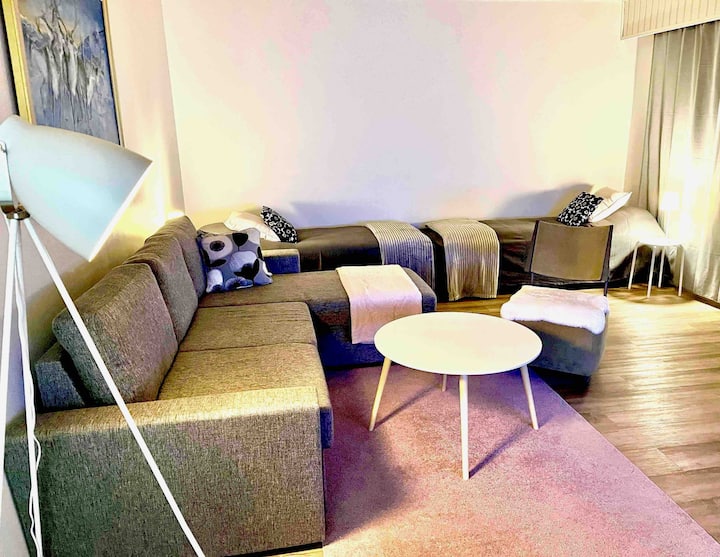 Nice  And Cozy Townhouse - Rovaniemi