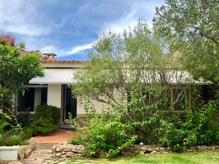 A Very Special Villa In Sardinia - Olbia