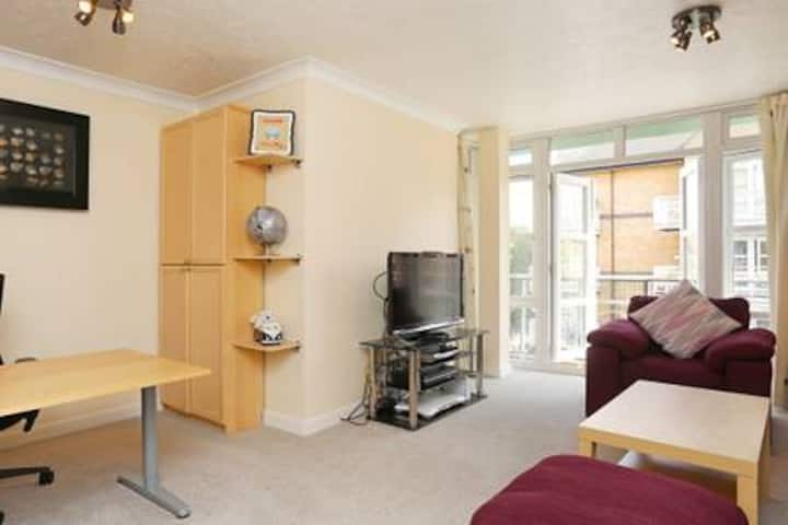 Modern Spacious Apartment. - Central London