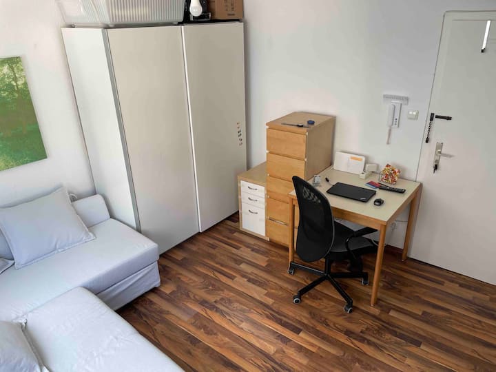 Zentral Zeil 1 Zi Apt. Im Schöne Aussicht Des Main - Frankfurt