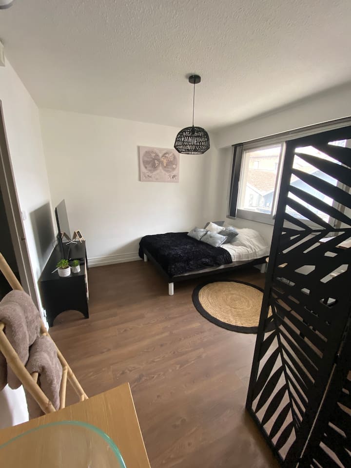 🌟Le 13 Du Temple🌟 Hyper-centre,  Wi-fi, Netflix - Niort