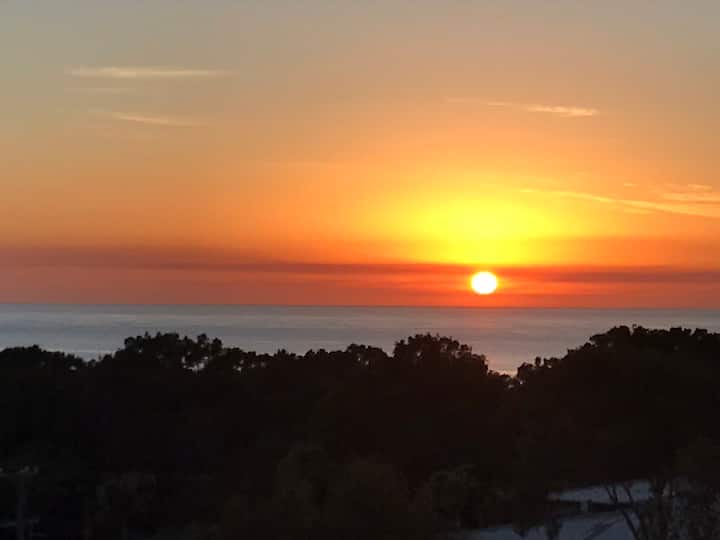 Making Memories At The Coral Cay - Agnes Water