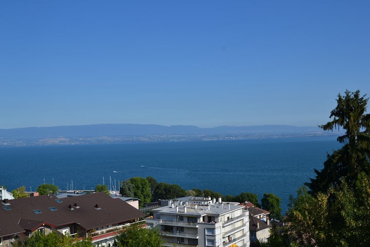 ⭐️⭐️⭐️ Cosy T3 Superbe Vue Lac Proche Centre Ville - Évian-les-Bains