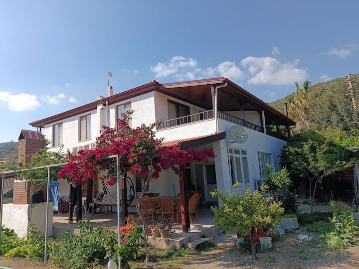 Hayıtbükünde Bahçe Içinde Ev - Mesudiye