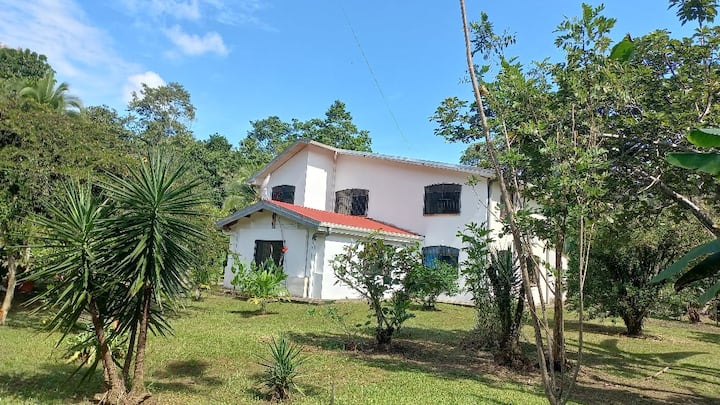 Zimbabue Garden - Limon