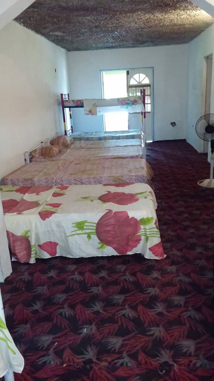 One Plus Guesthouse Dorm 10 Bed For Sport Camping - Kingston
