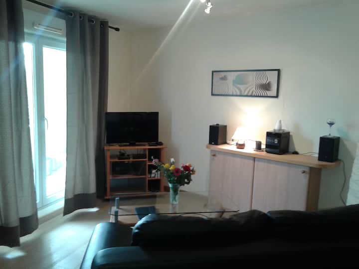 Appartement Calme Bord De Garonne En Centre Ville - Muret